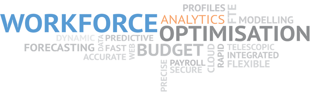 Health-e Workforce Solutions